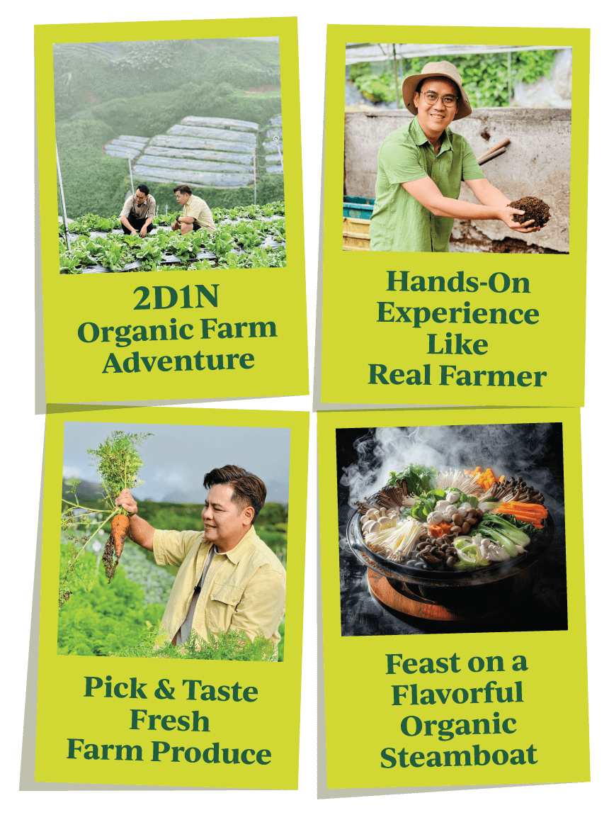 Cameron Highland Organic Farm Trip - ZENXIN ORGANIC
