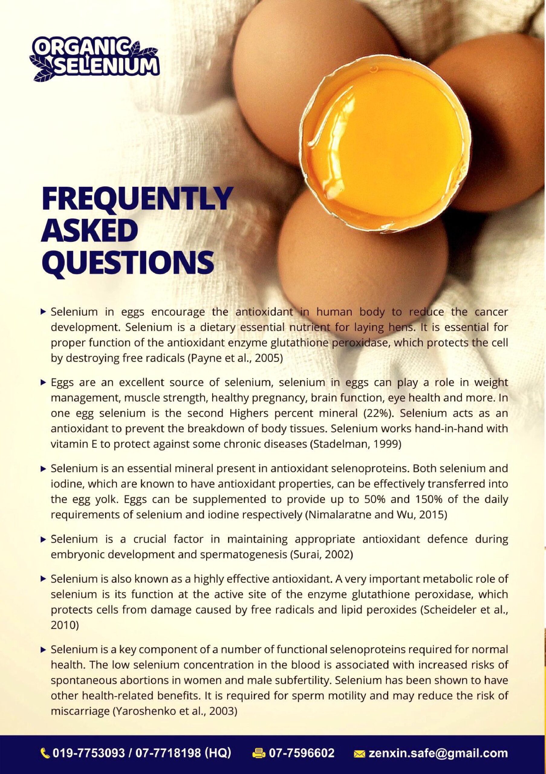 Antibiotic Free Eggs (Selenium Enriched) 10pcs/pack - ZENXIN ORGANIC