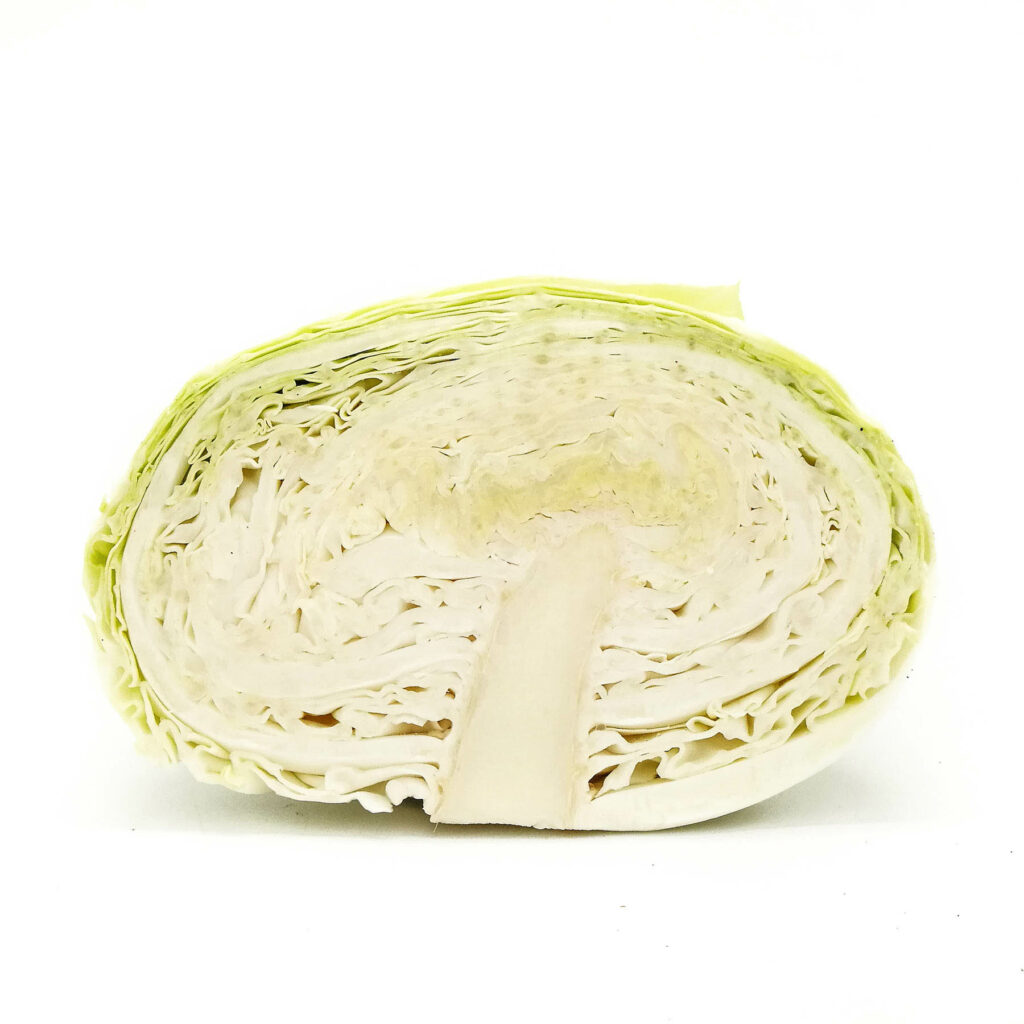 Organic English Cabbage - ZENXIN ORGANIC